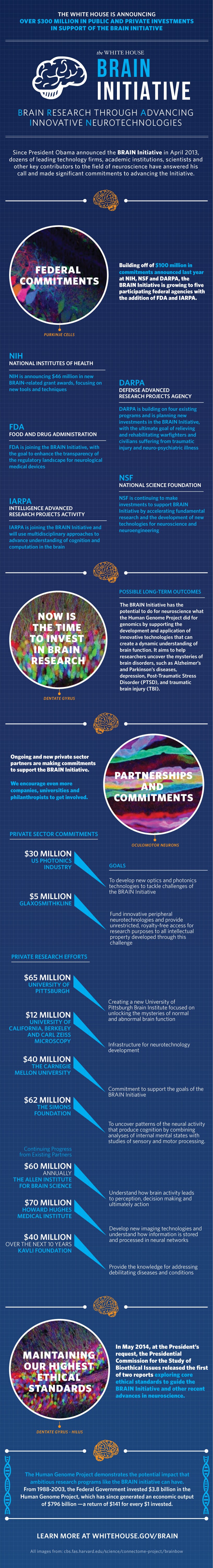 Brain Race auf Hochtouren: Supercomputer simulieren das menschliche ...